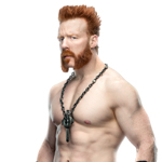 希莫斯(Sheamus)-WWE选手资料